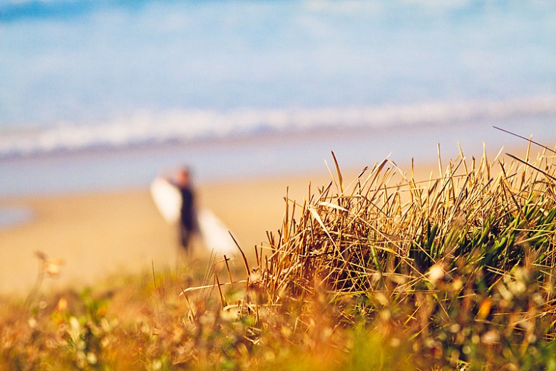 Landscape Surf Photography of Dune Grass