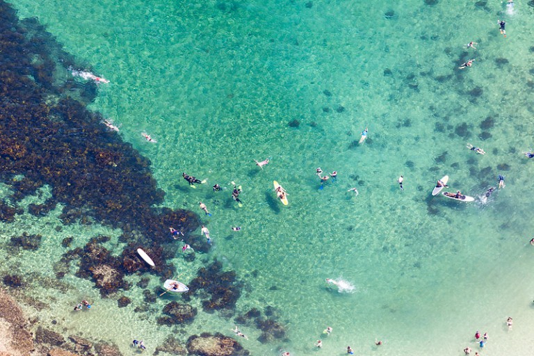 Shelly Beach Aerial Photography Divers Swimmers Northern Beaches
