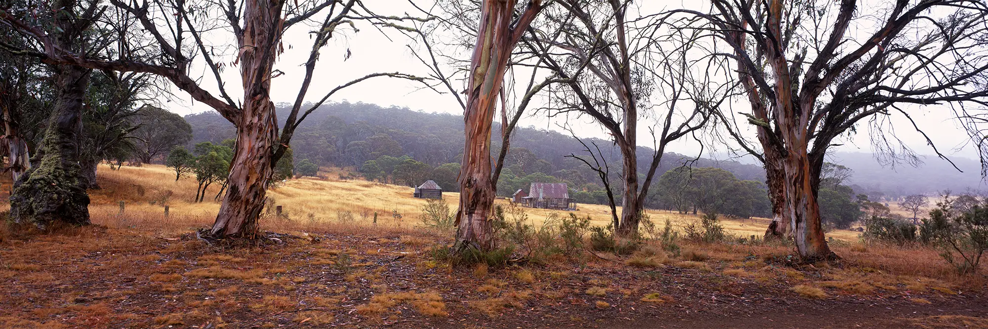 snow02 - Matt Lauder Gallery