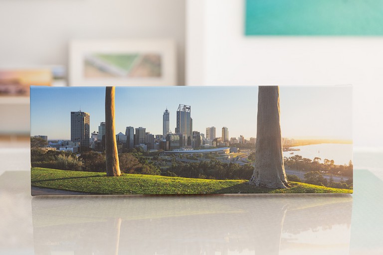 Perth City Kings Park Stretched Canvas Landscape Photo