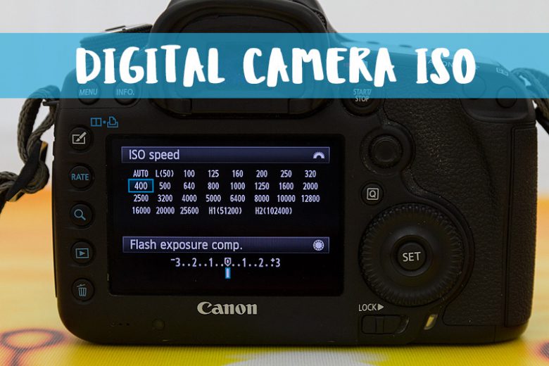 digital_camera_iso - Matt Lauder Gallery
