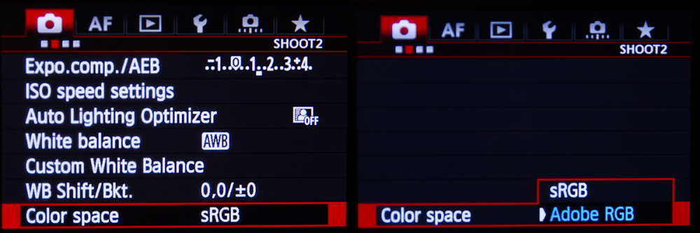 Correct Camera Menu Settings for your Digital Photography Beginner RAW